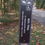 Black Moshannon Bog Trail, Pennsylvania - 73 Reviews, Map | AllTrails