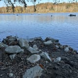 Turkey Run Potomac Heritage Trail, Virginia - 1,246 Reviews, Map ...