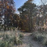 Caumsett State Historic Park Perimeter Loop, New York - 2,214 Reviews ...