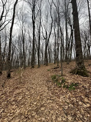 Best Hikes and Trails in Ogema | AllTrails