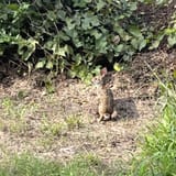 Spring Creek Greenway Trail, Texas - 1,092 Reviews, Map | AllTrails