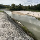 Spring Creek Greenway Trail, Texas - 1,092 Reviews, Map | AllTrails