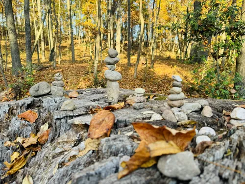 Best Hikes and Trails in Claude Moore Park | AllTrails