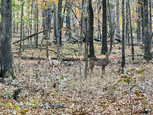 Best Hikes and Trails in Claude Moore Park | AllTrails