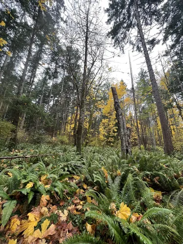 Best Hikes and Trails in Lazo Marsh North East Comox Conservation Area ...