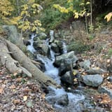 Turkey Run Potomac Heritage Trail, Virginia - 1,246 Reviews, Map ...