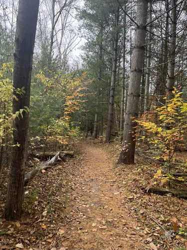 Best Hikes and Trails in Clay Cliffs Natural Area | AllTrails