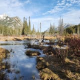 Mount Lorette Pond Trail, Alberta, Canada - 240 Reviews, Map | AllTrails