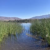 Lower Otay Reservoir: West Side, California - 669 Reviews, Map | AllTrails