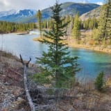 Mount Lorette Pond Trail, Alberta, Canada - 240 Reviews, Map | AllTrails