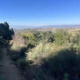 East Walker Loop, California - 512 Reviews, Map | AllTrails