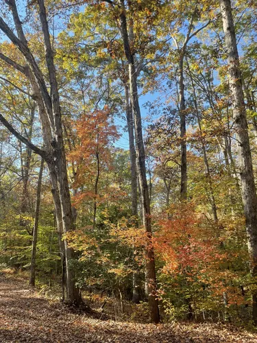 Best Hikes and Trails in Clemson | AllTrails