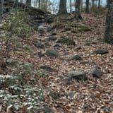 Mount Tom Tower Trail, Connecticut - 246 Reviews, Map | AllTrails