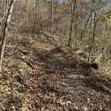 Red Cedar Trail, Illinois - 509 Reviews, Map | AllTrails