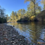 PoCo Traboulay Trail Loop, British Columbia, Canada - 1,198 Reviews ...