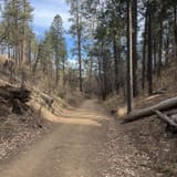 Mars Hill Trail Loop, Arizona - 1,431 Reviews, Map | AllTrails