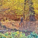 Columbia Canal Path , South Carolina - 679 Reviews, Map | AllTrails