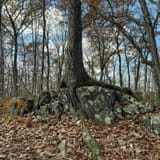 Mount Tom Tower Trail, Connecticut - 246 Reviews, Map | AllTrails