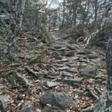 Mount Tom Tower Trail, Connecticut - 246 Reviews, Map | AllTrails