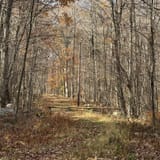 Mount Tom Tower Trail, Connecticut - 246 Reviews, Map | AllTrails