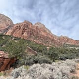 Sand Bench Trail, Utah - 564 Reviews, Map | AllTrails