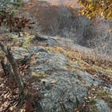 Mount Tom Tower Trail, Connecticut - 246 Reviews, Map | AllTrails