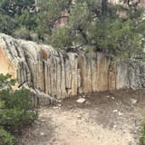 Sand Bench Trail, Utah - 564 Reviews, Map | AllTrails