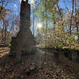 Mount Tom Tower Trail, Connecticut - 274 Reviews, Map | AllTrails
