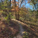 Paw Paw and Chinkapin Trail Loop, Kentucky - 484 Reviews, Map | AllTrails