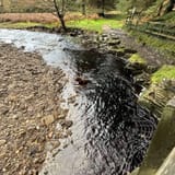 Snake Woodland and Snake Path Circular, Derbyshire, England - 223 ...