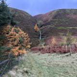 Snake Woodland and Snake Path Circular, Derbyshire, England - 223 ...