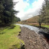 Snake Woodland and Snake Path Circular, Derbyshire, England - 223 ...