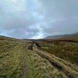 Snake Woodland and Snake Path Circular, Derbyshire, England - 176 ...