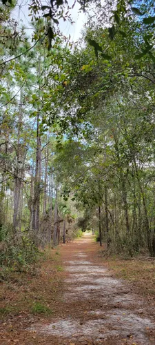 Best Hikes and Trails in Fish Hawk Nature Preserve North | AllTrails