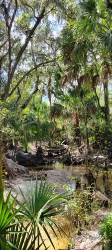 Best Hikes and Trails in Fish Hawk Nature Preserve North | AllTrails