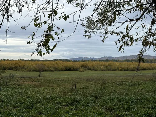 Best Hikes and Trails in Smith & Bybee Lakes Park | AllTrails