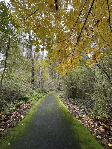 Best Hikes and Trails in Smith & Bybee Lakes Park | AllTrails