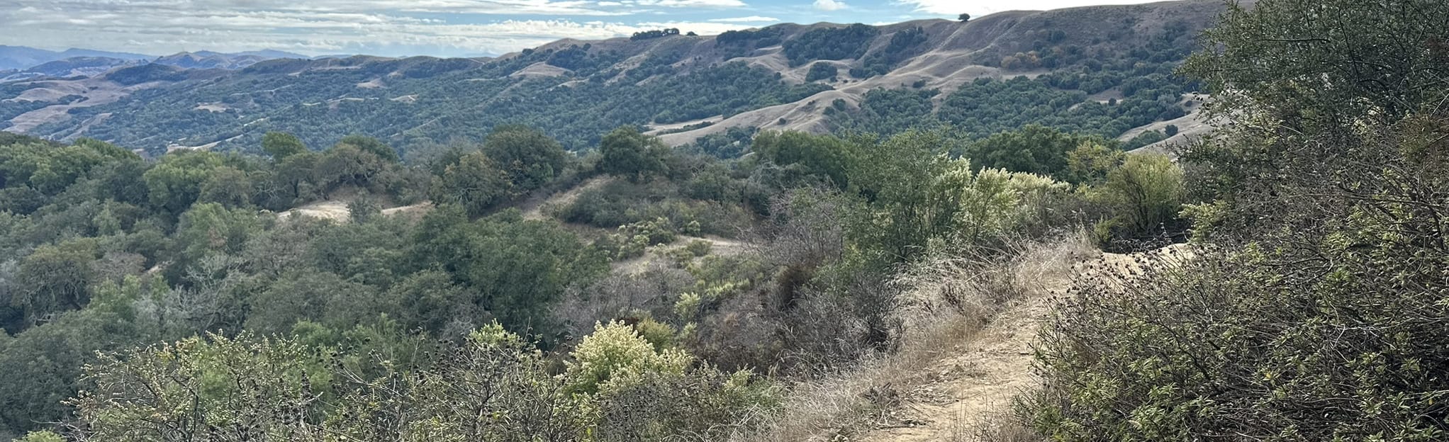 Corduroy Hills, California - 283 Reviews, Map | AllTrails