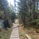 Andrews Bald Trail, North Carolina - 2,342 Reviews, Map | AllTrails