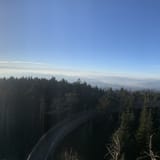 Andrews Bald Trail, North Carolina - 2,344 Reviews, Map | AllTrails