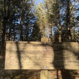 Andrews Bald Trail, North Carolina - 2,353 Reviews, Map | AllTrails