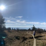 Andrews Bald Trail, North Carolina - 2,353 Reviews, Map | AllTrails