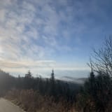 Andrews Bald Trail, North Carolina - 2,358 Reviews, Map | AllTrails