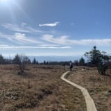 Andrews Bald Trail, North Carolina - 2,358 Reviews, Map | AllTrails