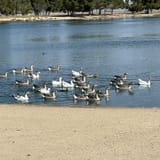 Apollo Park Trail, California - 180 Reviews, Map | AllTrails