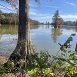Stumpy Lake Loop, Virginia - 429 Reviews, Map | AllTrails