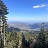 Mount Mitchell Trail, North Carolina - 2,309 Reviews, Map | AllTrails