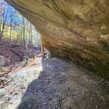 Low Gap Trail , Indiana - 1,232 Reviews, Map | AllTrails