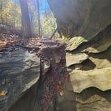 Low Gap Trail , Indiana - 1,232 Reviews, Map | AllTrails