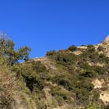 Altadena Crest Trail, California - 553 Reviews, Map | AllTrails